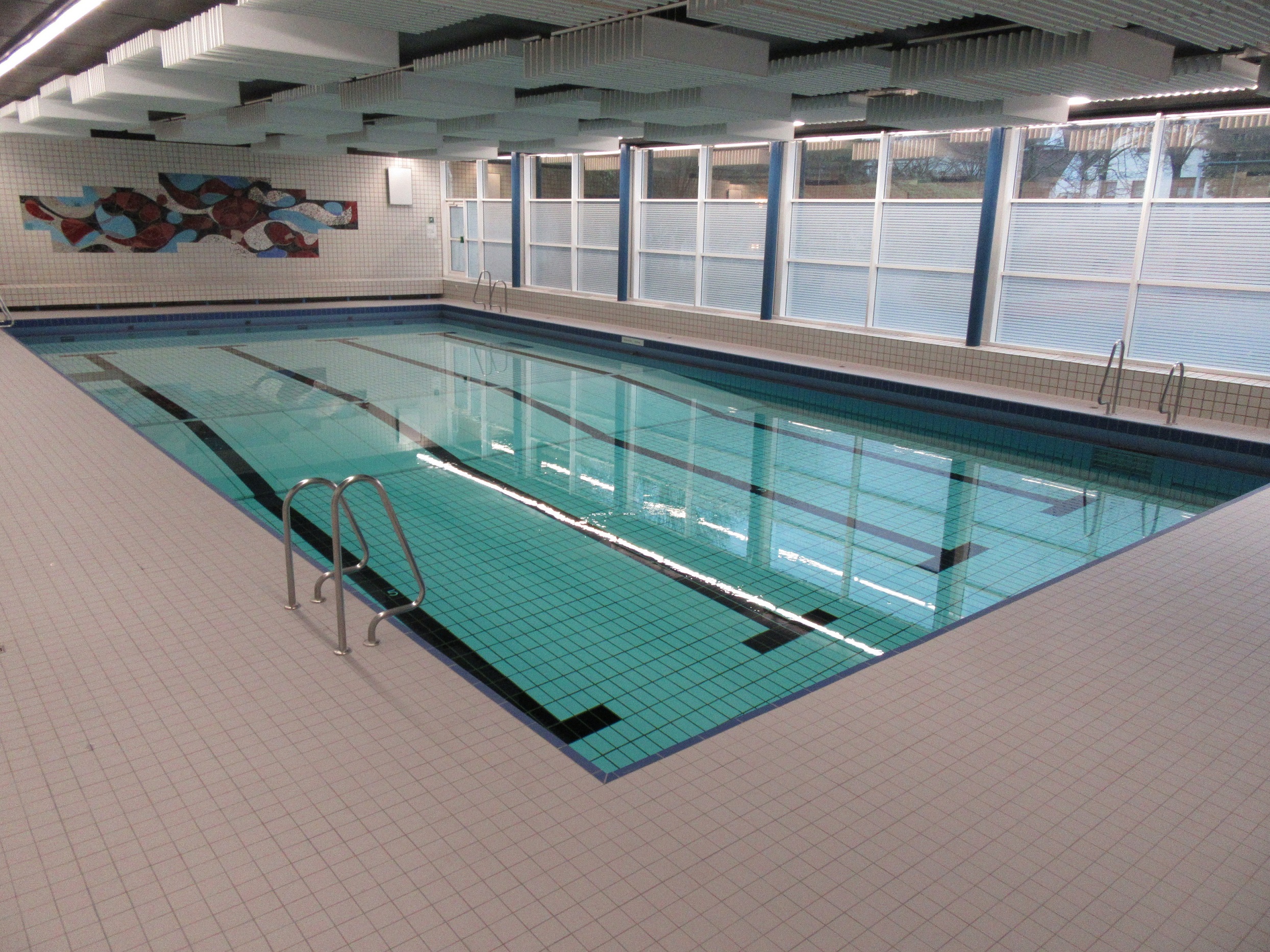 Alzenau – Schwimmschule DELFISH
