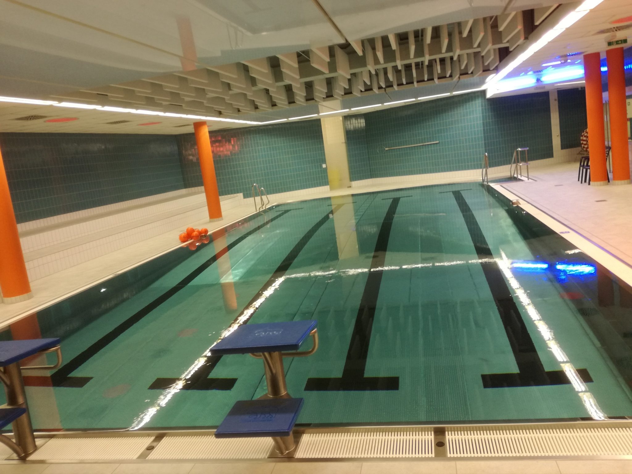 Rottendorf – Schwimmschule DELFISH